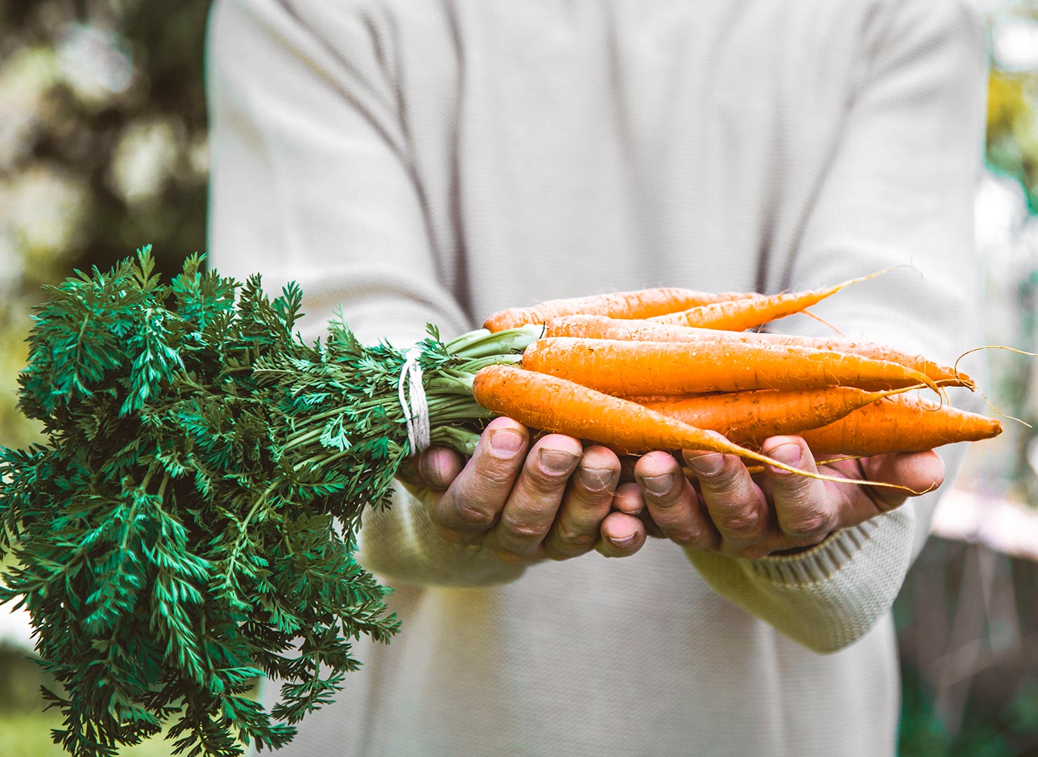 Organska hrana kao prvi izbor - Pharmanova