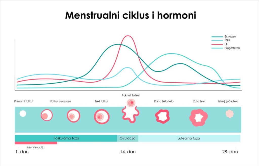 Hormoni kod žena: Balans između čarolije i biologije - Pharmanova